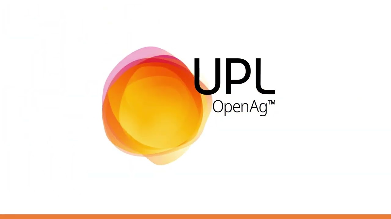 Napraforgó egyszikű gyomirtási tippek