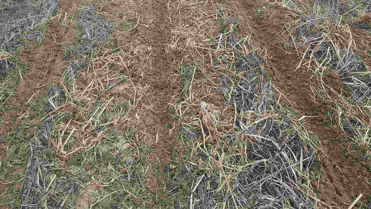 TRIKA EXPERT, startolunk és védünk!